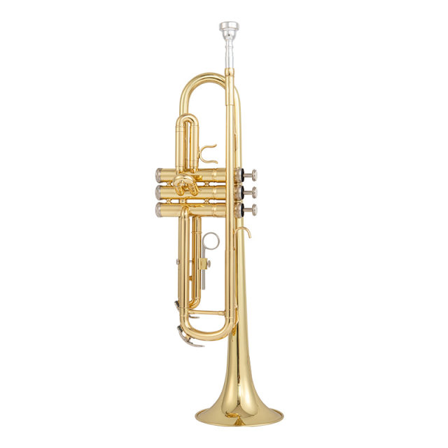 Original authentic B-flat three-note trumpet beginner performance test ...