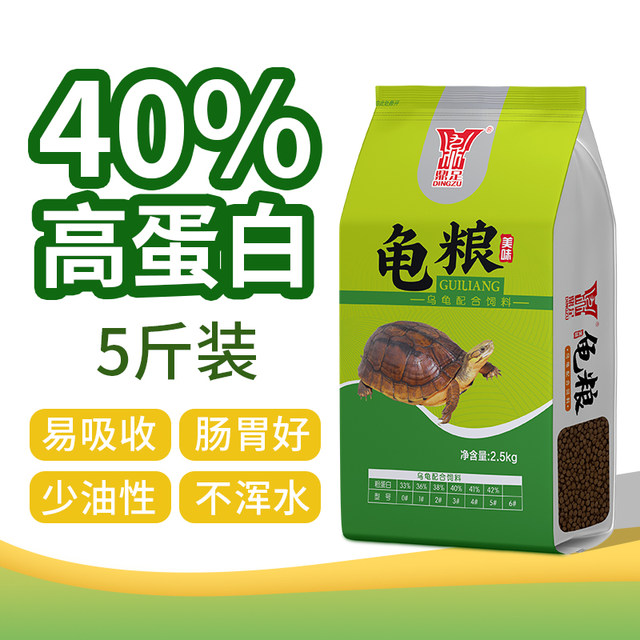 tripod-footed crocodile turtle turtle food turtle Brazilian food ...