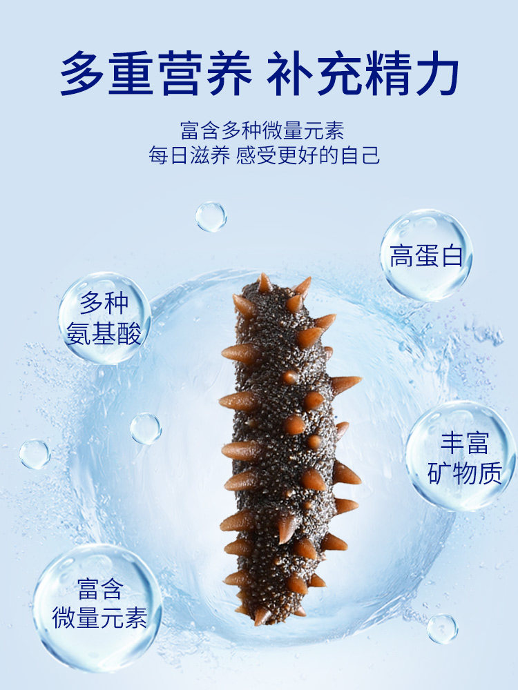 Tongqingxiang Dalian Light Dried Sea Cucumber - 500g Gift Box with Ginseng