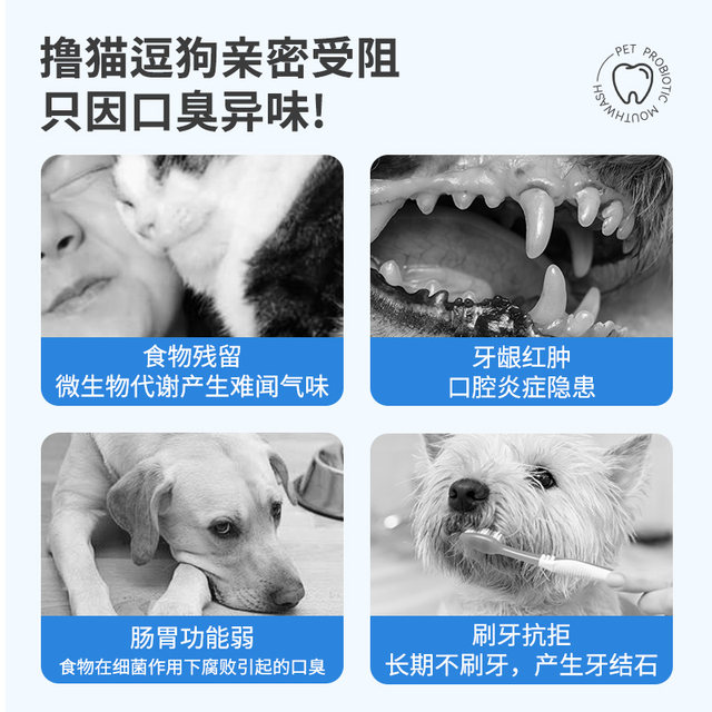Laami probiotic clean teeth, dog cat rinse, mouthwash, dog deodorant ...