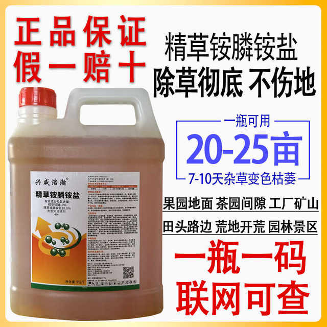 Genuine syrup, syrup, syrup, syrup, syrup, syrup, syrup, syrup, syrup ...