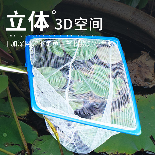 Fish Fish Net Fish Tank Small Fish Fish Fishing Nets, Fishing Fish Copy ...