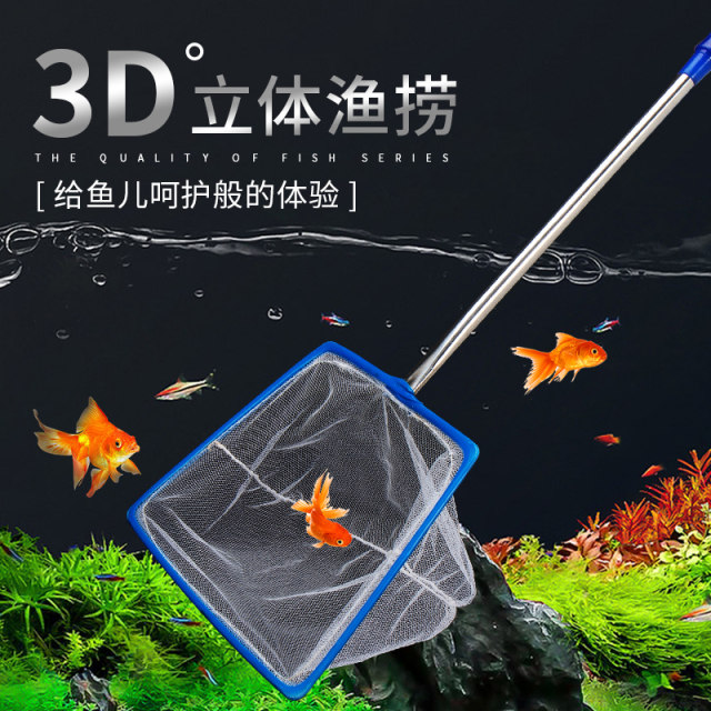 Fish Fish Net Fish Tank Small Fish Fish Fishing Nets, Fishing Fish Copy ...