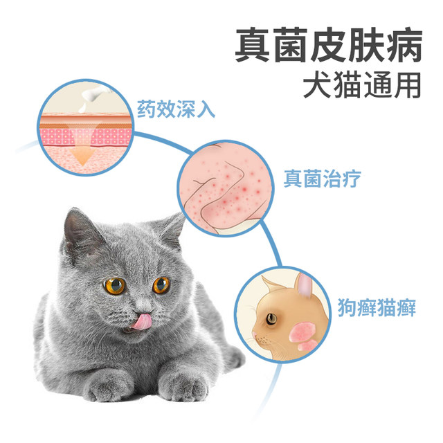 Compound ketoconazole ointment pet itraconazole dog cat tinea cat moss ...