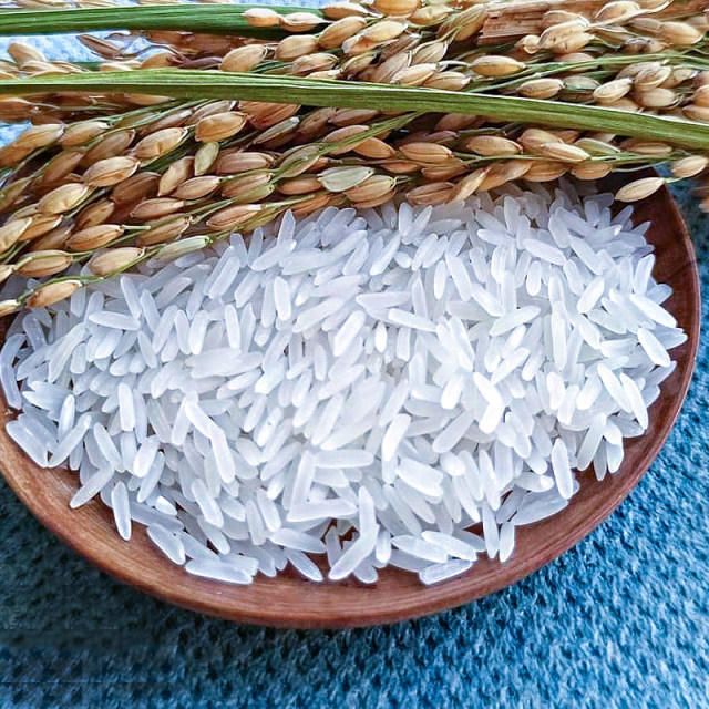 2024 New Rice Cat Dental Rice Night Rice Fragrant Rice Super long grain ...