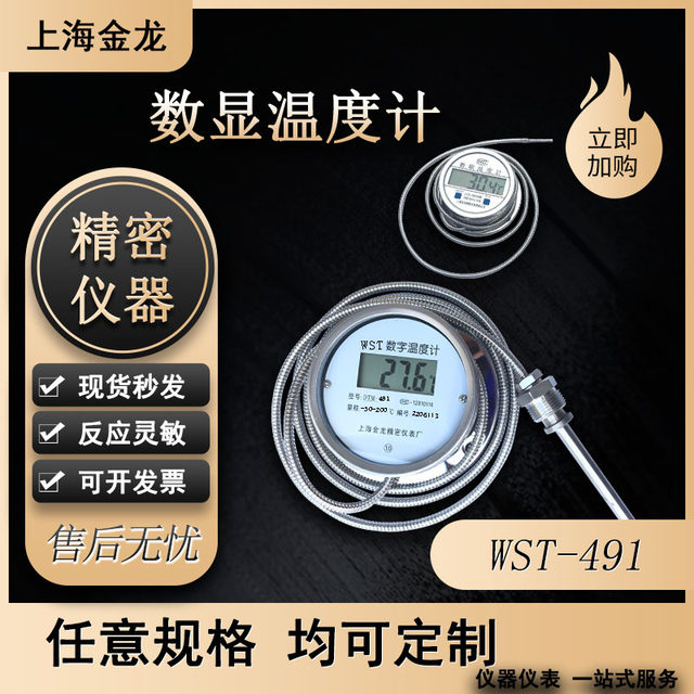 Shanghai Jinlong digital display thermometer WST491 with probe, acid ...