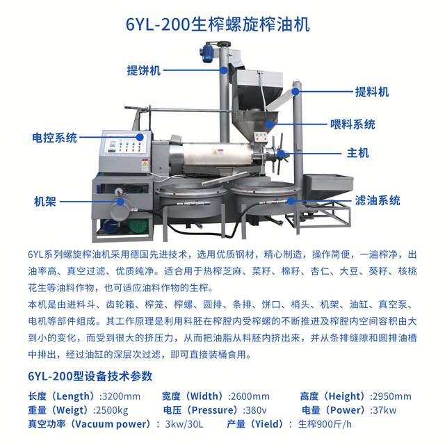 Commercial large oil mustor fully automatic flowering carved rapeseed ...
