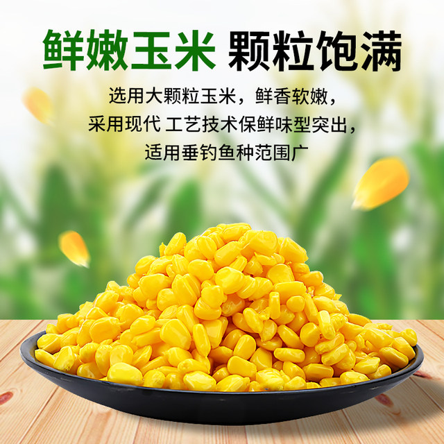 Fishing sweet corn bait wild fishing crucian carp, bream, carp special ...