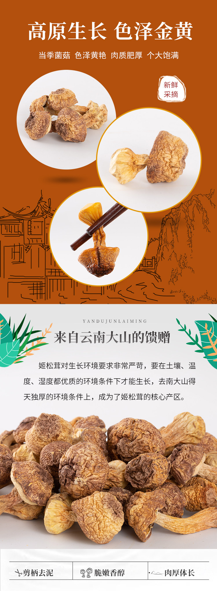 Dried matsutake mushrooms - Agaricus blazei 500 | Versatile and good ...