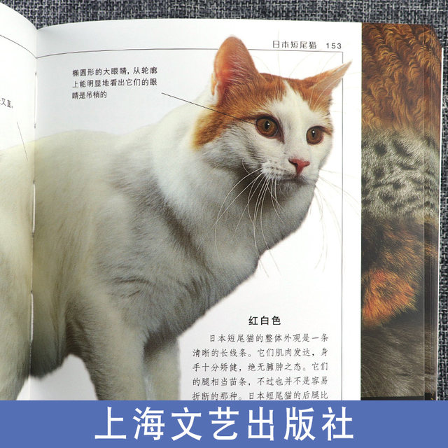 Genuine DK cat encyclopedia more than 70 kinds of cat science pet cat ...