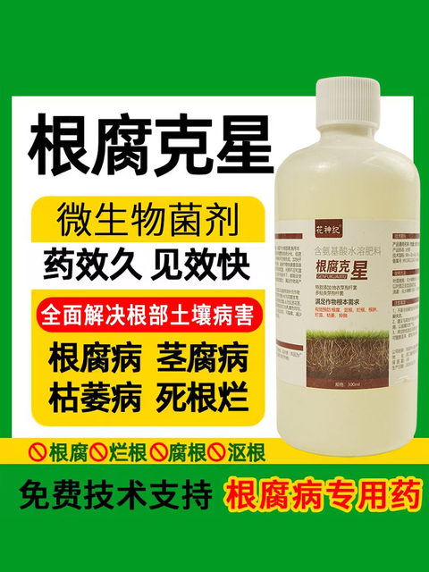 Root rot nemesis root rot special medicine pepper strawberry vegetable ...