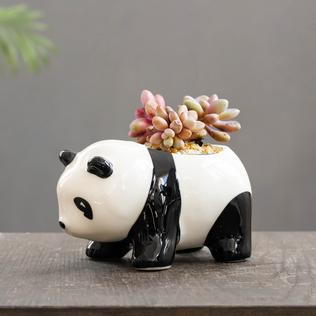 Simple and cute animal succulent flower pots for home gardening, small ...