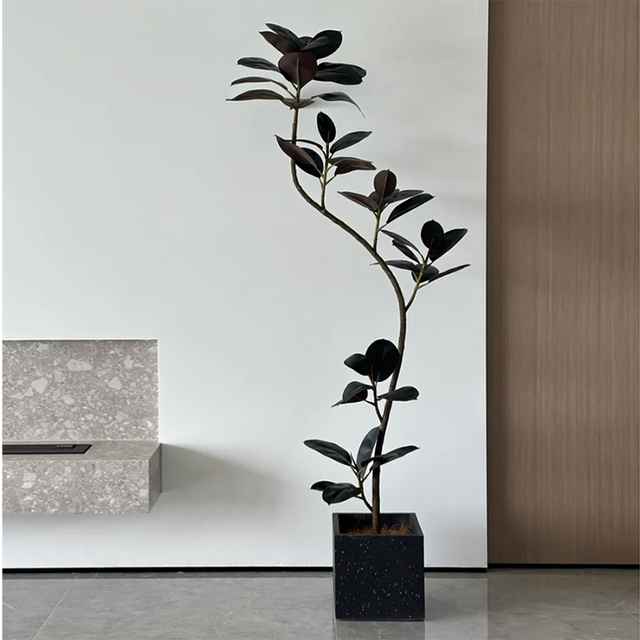 Lucky and prosperous Nordic style rubber tree black diamond living room ...