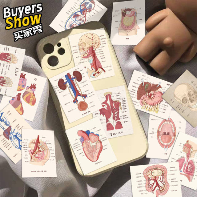 50 human body structure tissue organ stickers for medical students ...