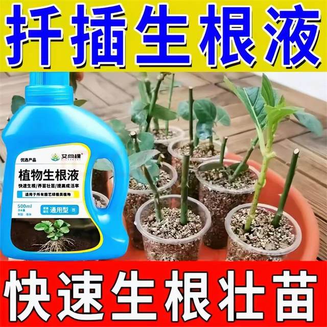 Plant rooting nutrient solution, universal powerful root blasting, root ...