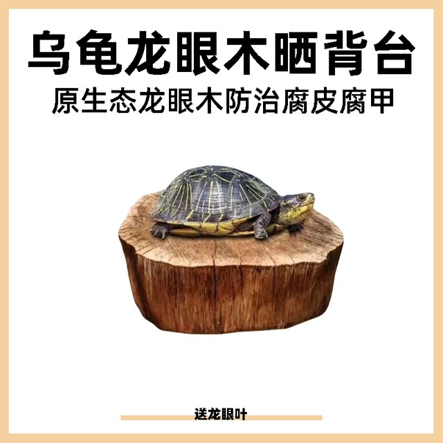 Authentic longan wood basking table for turtles, turtle climbing rest ...