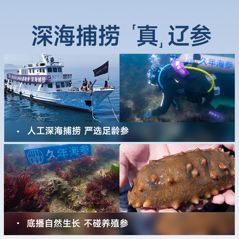 Dried Sea Cucumber - Dalian Dandant - 100g Gift Box
