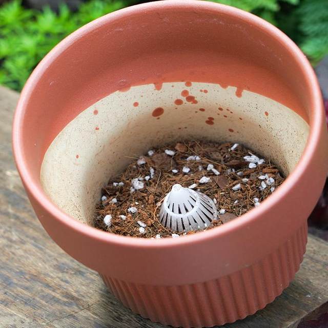 Flower pot bottom hole mesh pad plastic orchid drain cover succulent ...