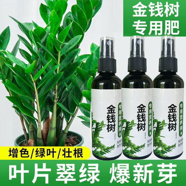 Money tree nutrient solution special fertilizer flower fertilizer ...