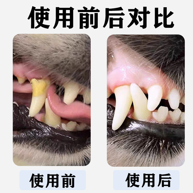 Dog tooth calculus dissolves Shenya stone speed removal removal ...