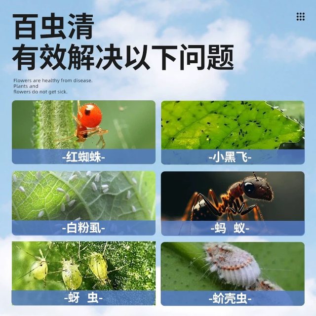 Chlorozolin plant and vegetable universal flower and green plant ...