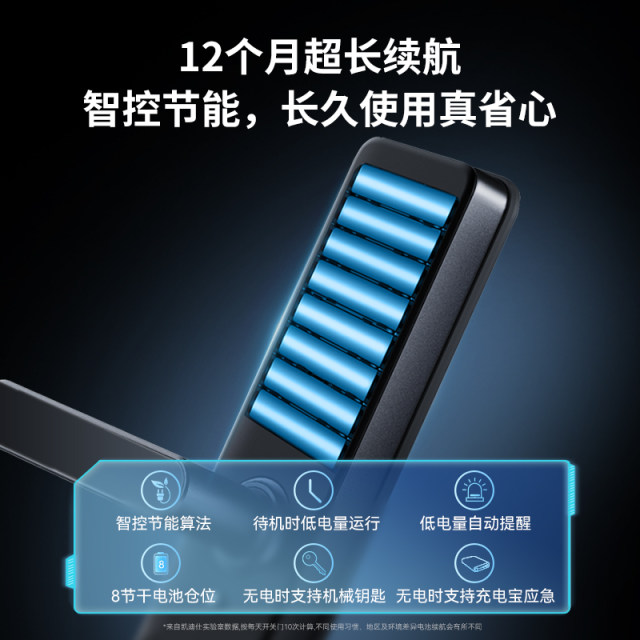 Cadiz F300 home handle electronic anti-theft magnetic card induction ...