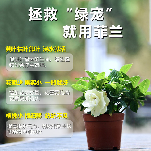 Plant nutritional solution universal flower fat green Luo Luoyuki ...