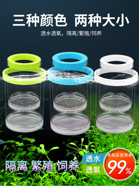 Incubation Box Peacock Fish Tank Breeding Isolation Box Small Fish ...