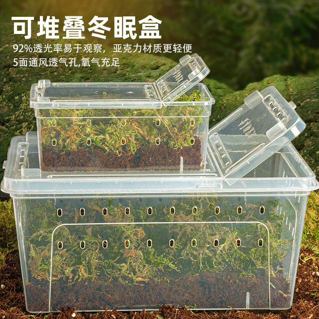 Tortoise hibernation box, dedicated coconut soil reptile breeding box ...