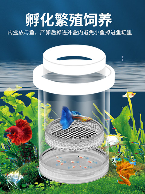 Incubation Box Peacock Fish Tank Breeding Isolation Box Small Fish ...