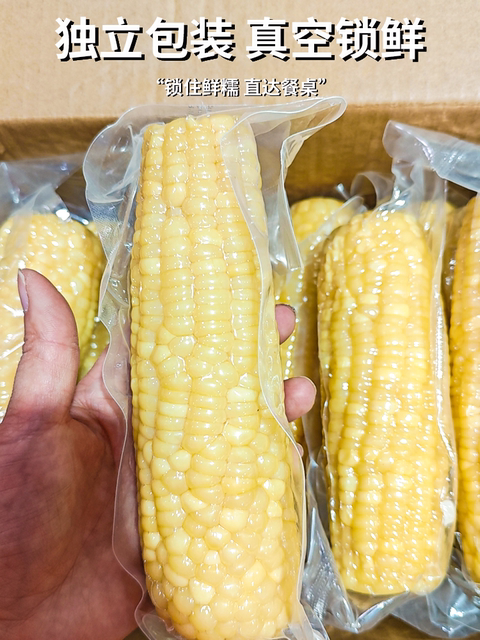 10 Pieces of White Glutinous Corn Vacuum-Packed, Fresh, Delicious ...