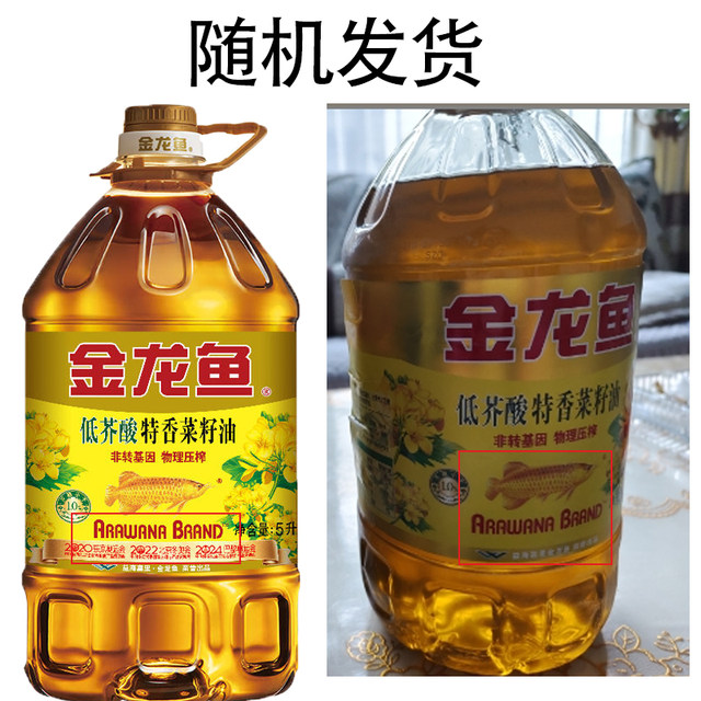 Golden Aurea low mustard special olee oil 5L barrel non -rotor physical ...