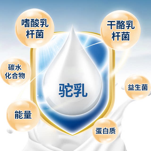 Probiotic camel milk nutritional powder imported from Kazakhstan for ...