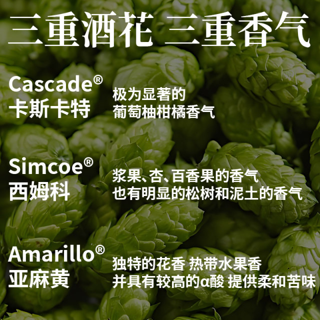 0 sugar, 0 fat, 0 carbohydrates, no sugar, Hoppy Lager
