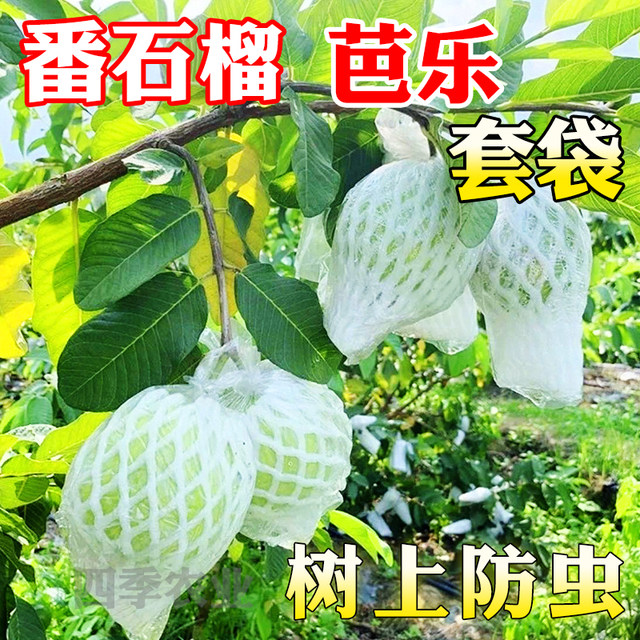 Guava bag mesh bag guava special bag fruit insect protection bag fruit ...