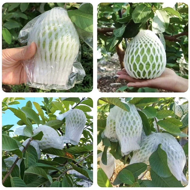 Guava bagging net bag Guava special bagging fruit insect protection bag ...