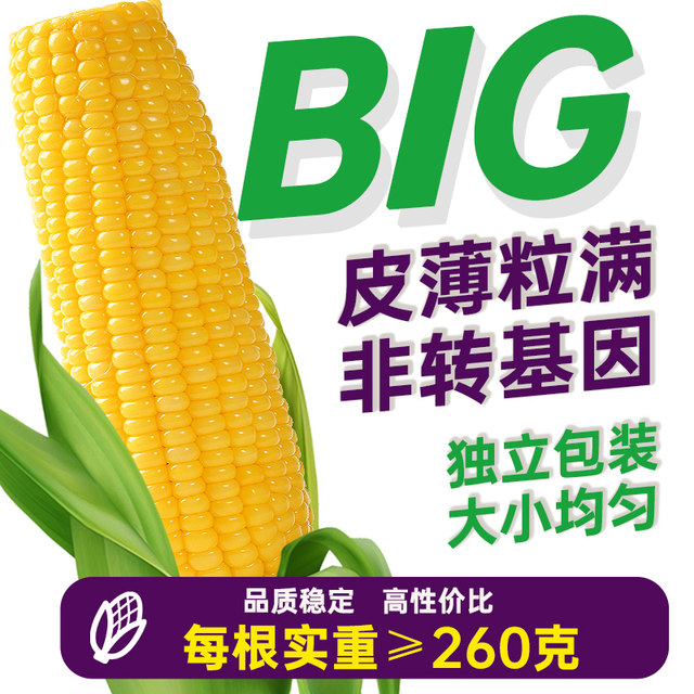 Fresh corn glutinous corn cob vacuum packaging bag northeast sticky ...