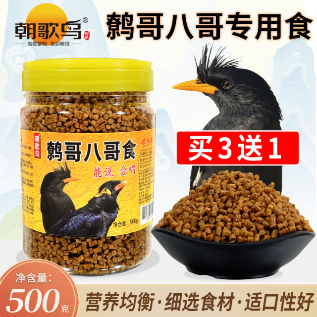 Chaoge Bird 哥 Brother Aki Bird Food Feed Brother Special Birds Black Eight Sea Eight Thrus ...