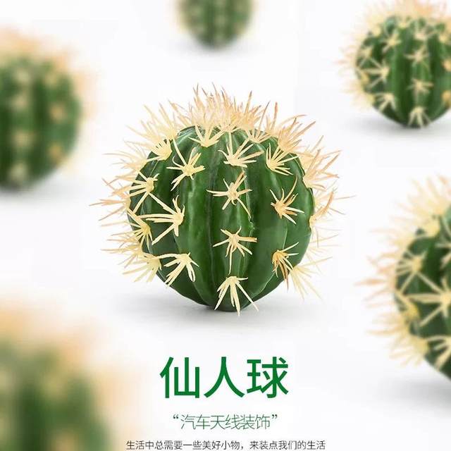 minicooperoneR60 cactus antenna ball BMW mini countryman modified ...