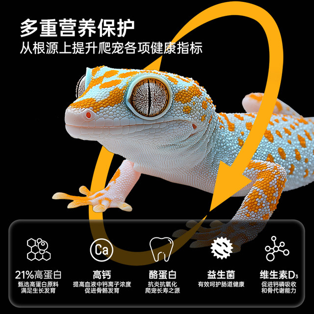 Anlim full-term climbing pet high calcium eyelashes and gecko lizard ...