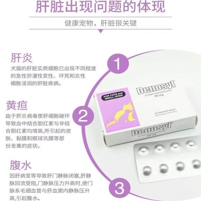 Denosyl Liver Protection Tablets Denosyl Cat Liver Protection Medicine ...
