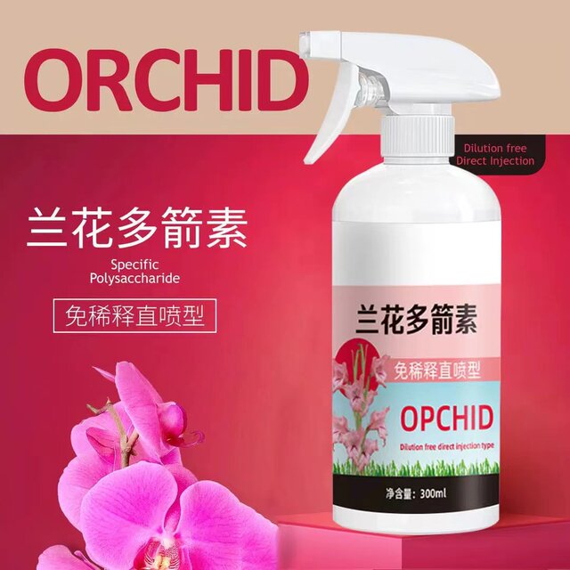 Orchid multi -arrows Phalaenopsis flowers and flowers extended flowers ...