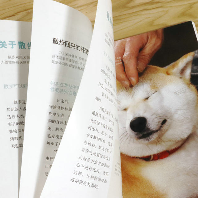 Full-color illustration of the whole process of Chai dog maintenance ...