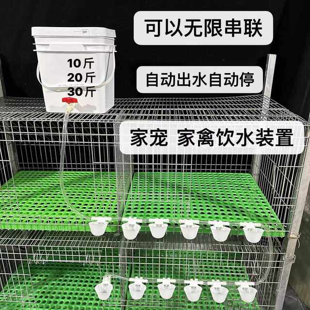 Automatic water feeder Rudin chicken pigeon drinking water set ...