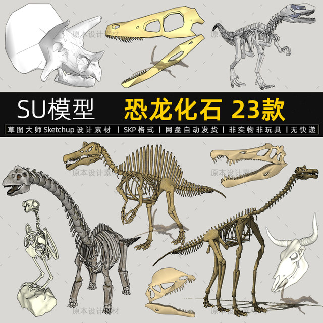 Dinosaur Fossil SU Model Animal Head Skeleton Skull Skeleton Design ...