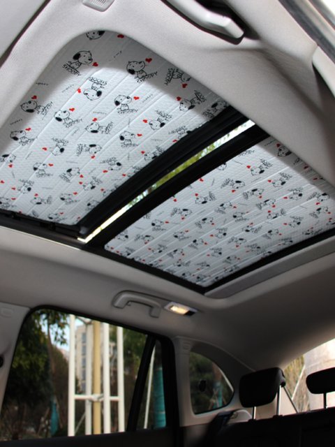 Renault Correo Correga Wema EX5 special cartoon without suction cup ...