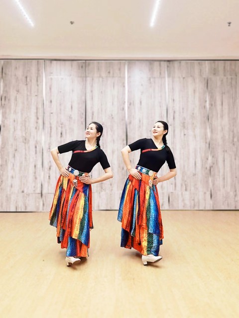 Flowers and Shadows New Dance Love in Namtso Tibetan Dance Costume Practice Skirt Tibetan Stage ...