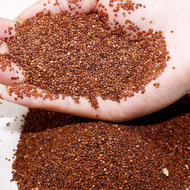 Sichuan Ice Powder Seed Ice Rubbing Ice Powder Partner Commercial ...