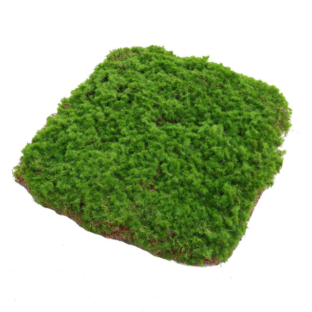 Moss skin moss block moss flocking decoration soft decoration rockery ...