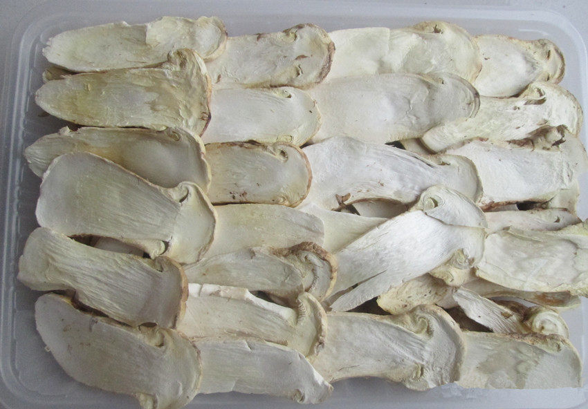 Matsutake Dried Slices - 20g Gift Box - Yanbian Specialty